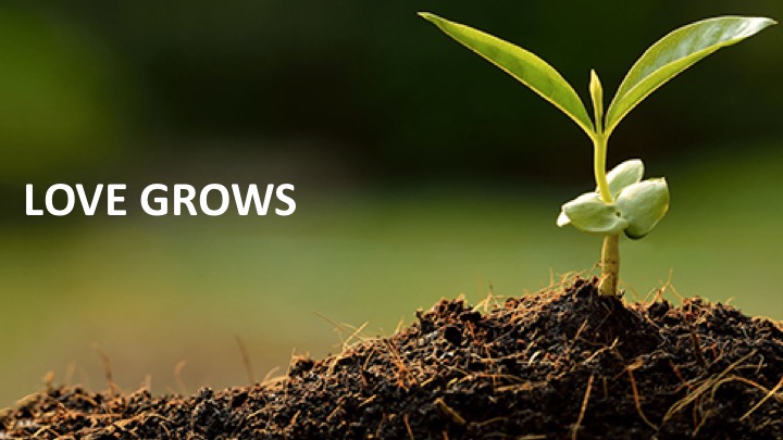 Love Grows – Part II of a 5 week sermon series called “We Love First ...